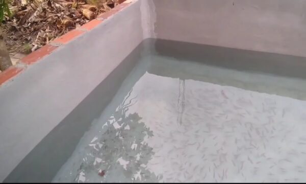 O que é Tanque Escavado e Quais as Vantagens e Desvantagens